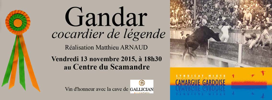 Gandar, cocardier de légende et seigneur des Iscles | V+ Petite Camargue